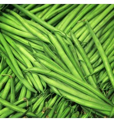 Venta de Judías Verdes - Esdemercado.com